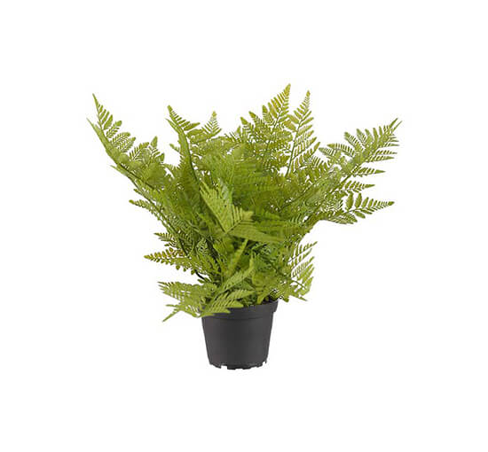 Bregne kunstig plante - Newport